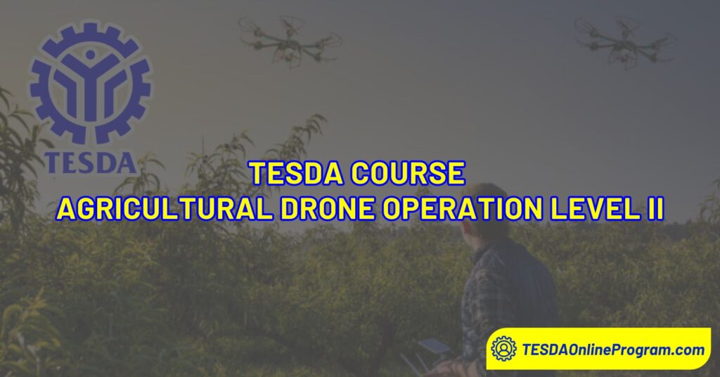 TESDA Agricultural Drone Operation Level II Course - TESDA Online Program