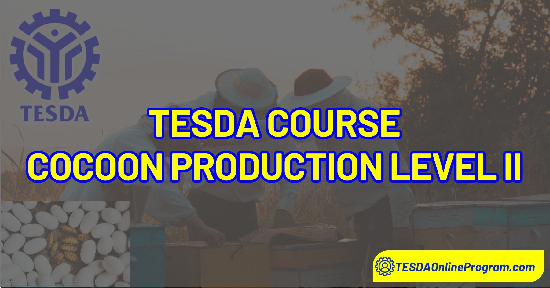 TESDA Cocoon Production Level II Course - TESDA Online Program