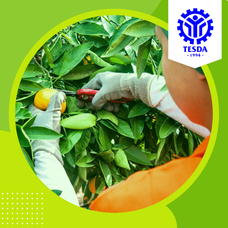 TESDA Agriculture Online Courses - TESDA Online Program